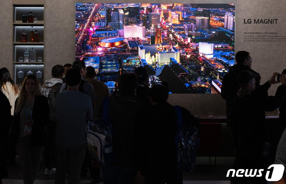 [IR]LGD "올해 OLED 패널 20% 이상 성장 목표…출하량도 늘 것" - 뉴스1