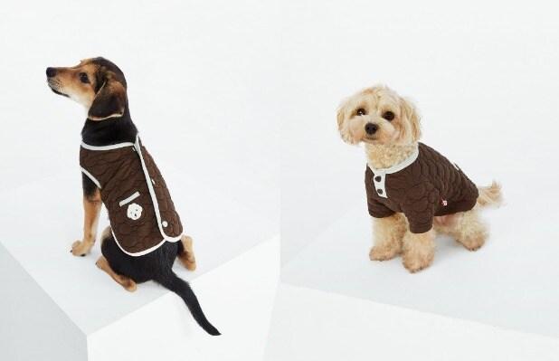 BYC, '24FW 개리야스' 신제품 출시 - 뉴스1