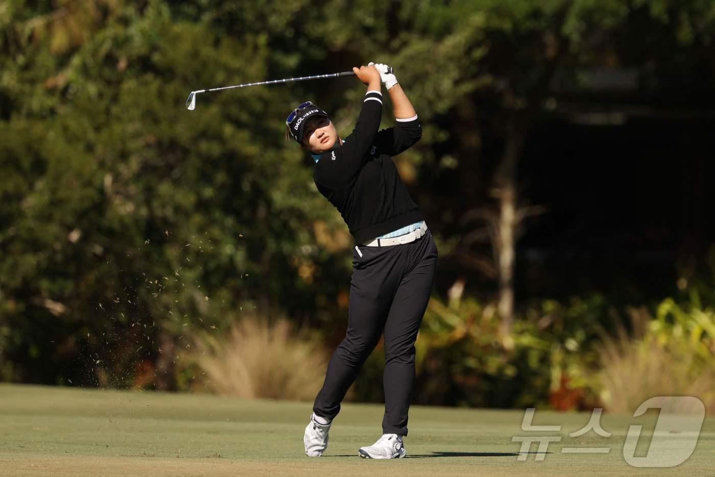 LPGA 3승, 13년 만에 최소…아쉬움 남긴 2024 한국 여자골프 - 뉴스1
