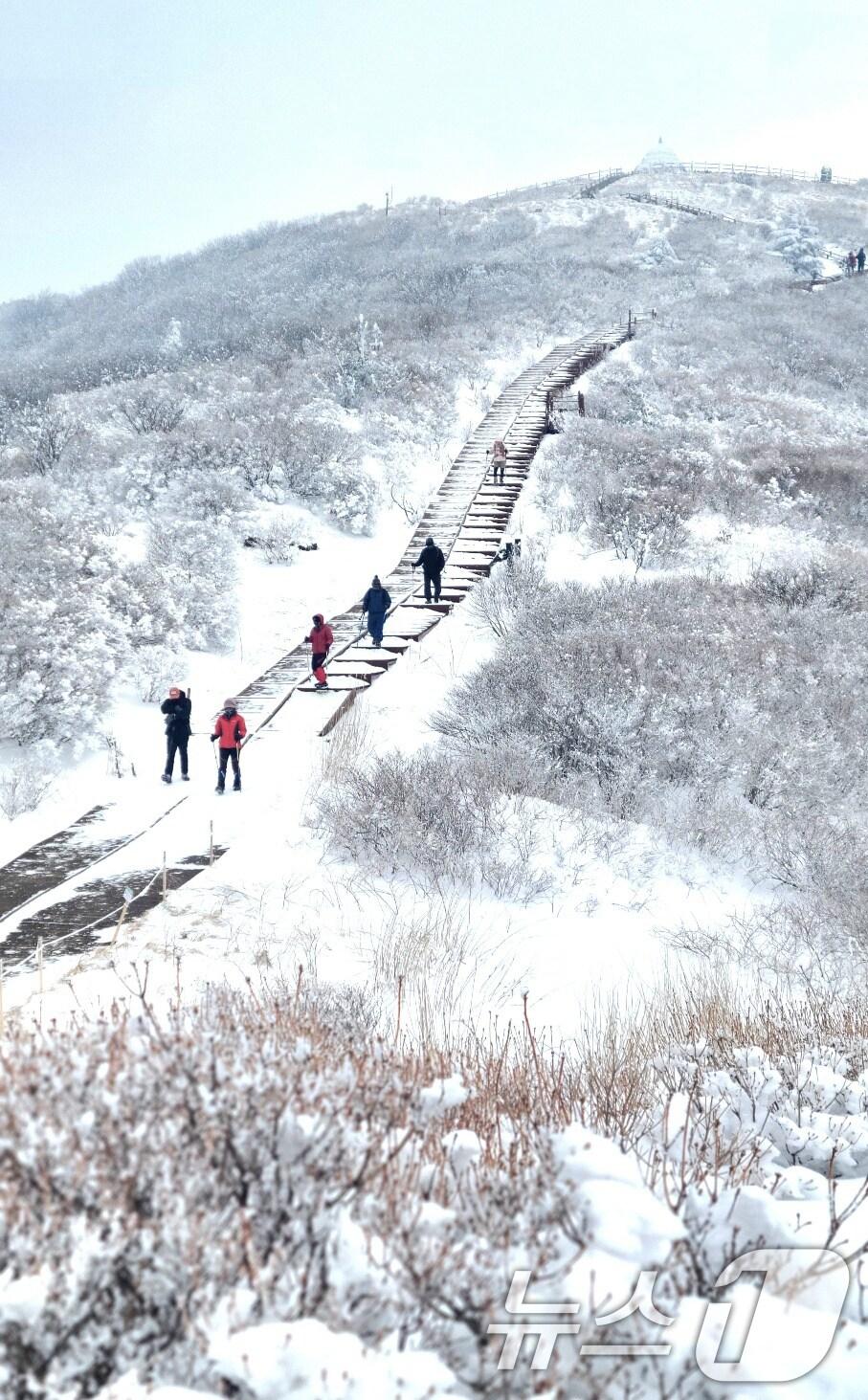 경남 산청·거창 대설주의보…28일까지 최대 15㎝ 적설 - 뉴스1