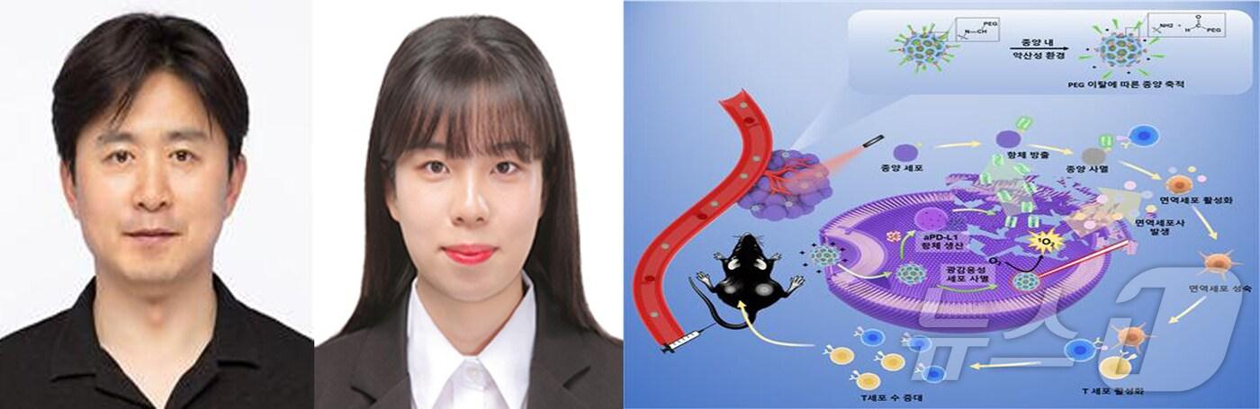 포스텍, 종양 내 항체 생산 폭발적 방출 항암 치료법 개발 - 뉴스1