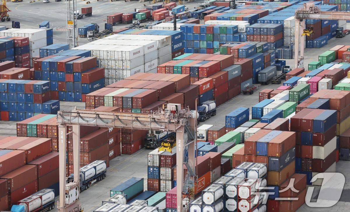 트럼프에 울고 웃는 K-해운…對中 압박에 HMM, 반사이익 기대감 - 뉴스1