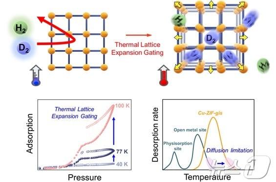UNIST, 영하 153도서 중수소 분리하는 물질 개발 - 뉴스1