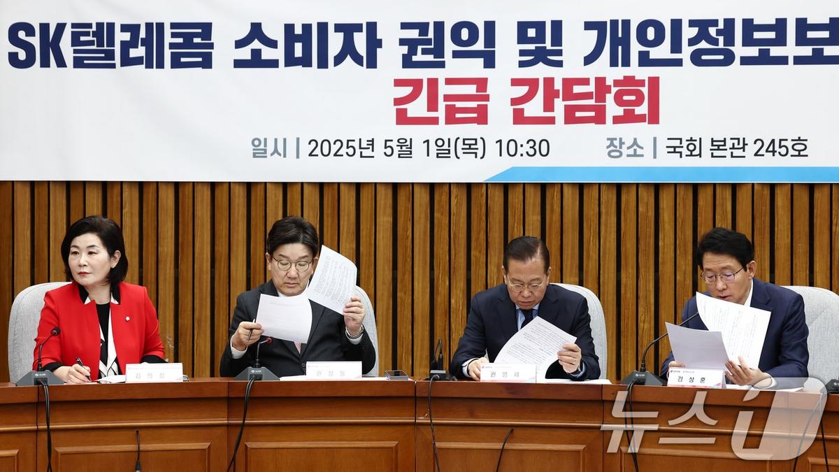 국힘 개인정보보호TF "SKT, 노인·장애인 유심보호서비스 일괄 가입 추진" - 뉴스1